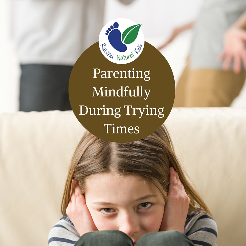 Mindful Parenting At Trying Times