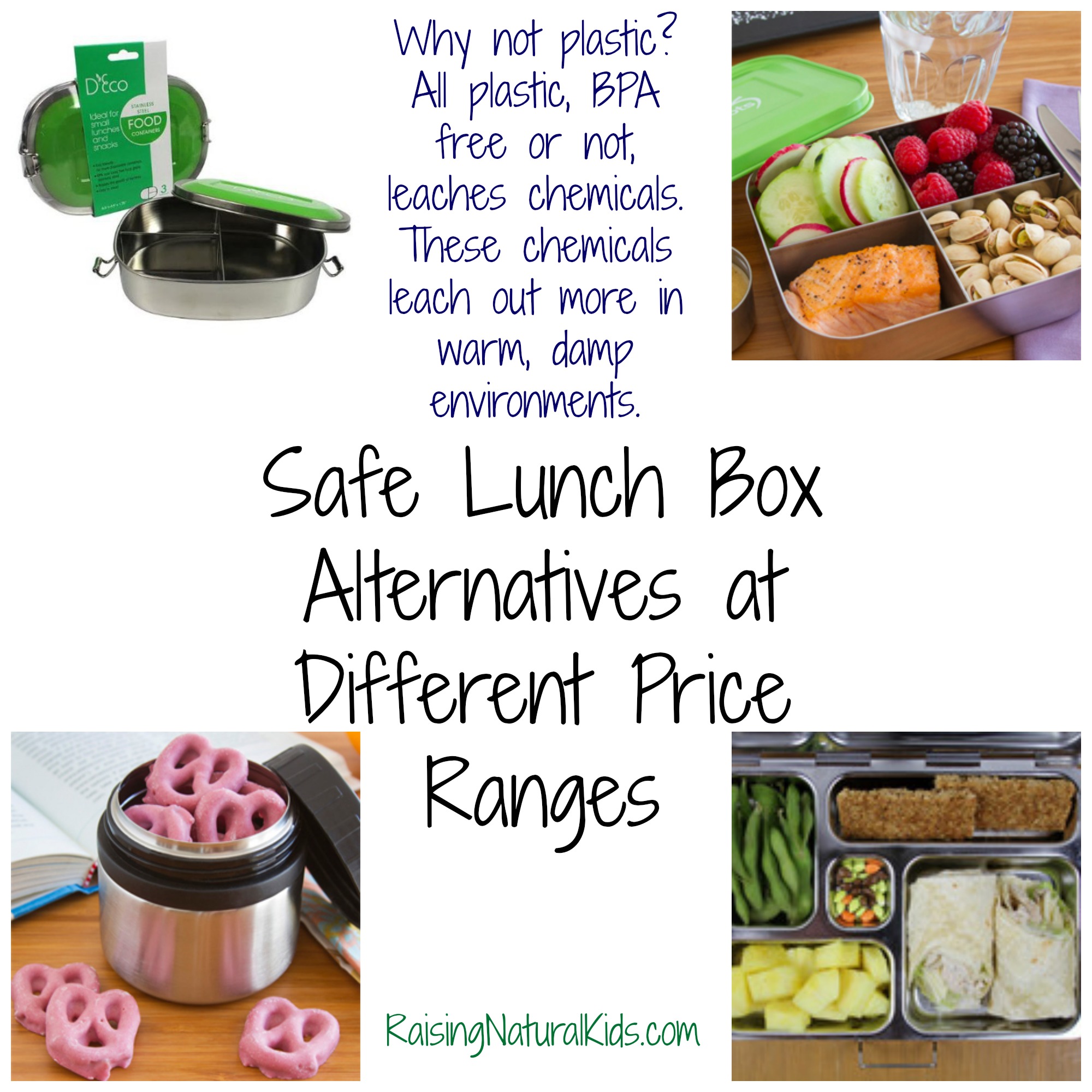 Toxin Free, Eco-Friendly Lunch Box Options